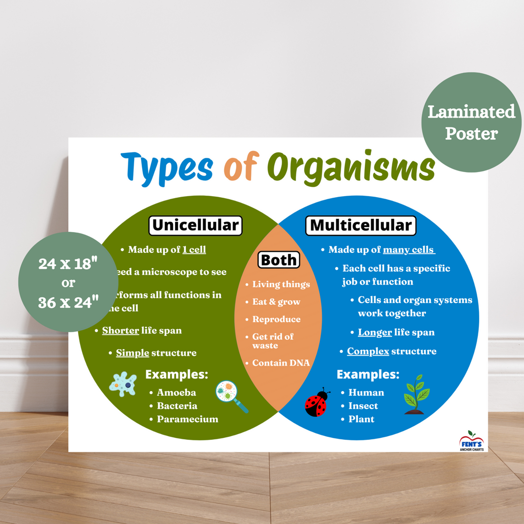 Science Anchor Charts | Laminated Science Posters for Classrooms – Fent ...